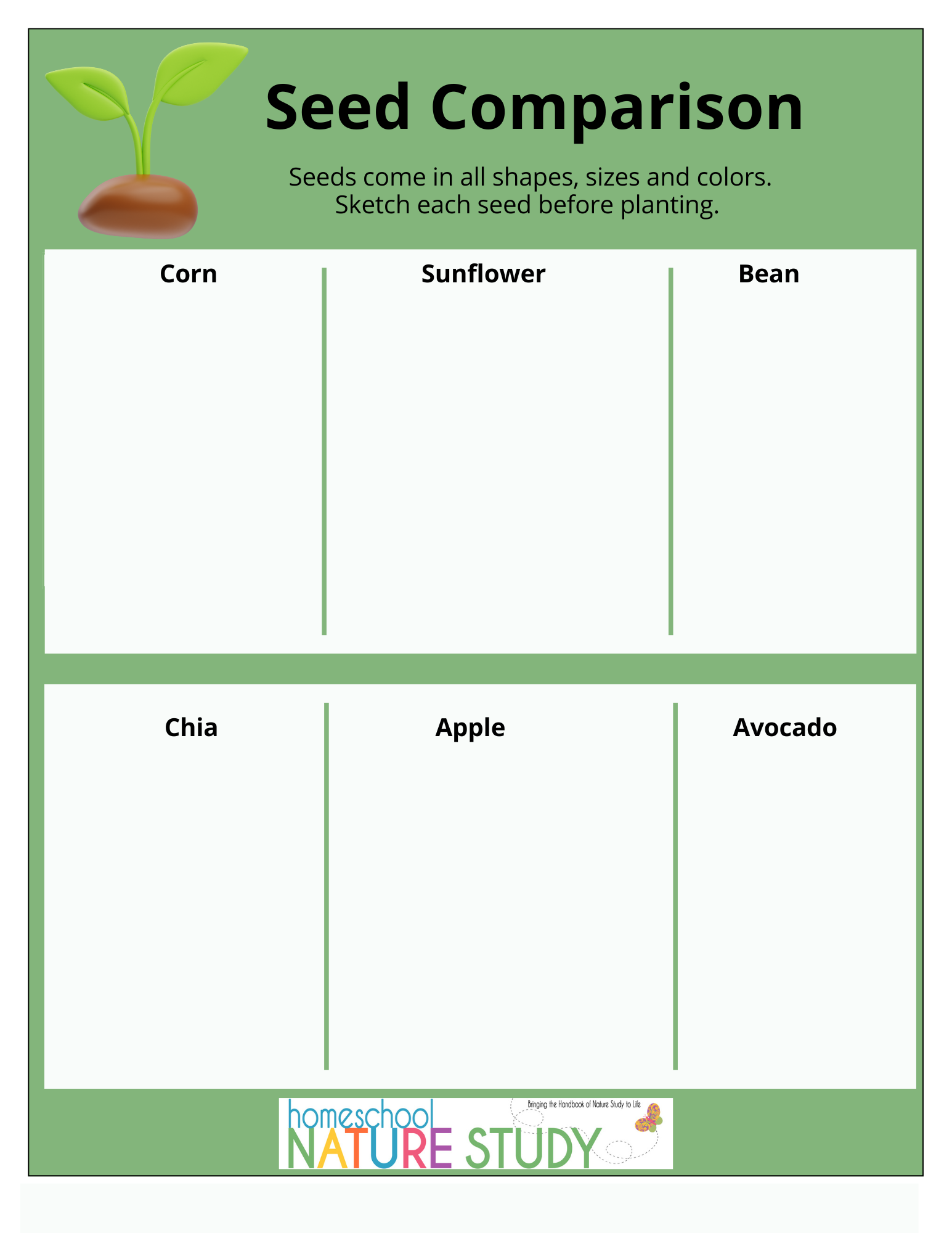 Winter Weeds and Seeds Nature Hunt - Homeschool Nature Study