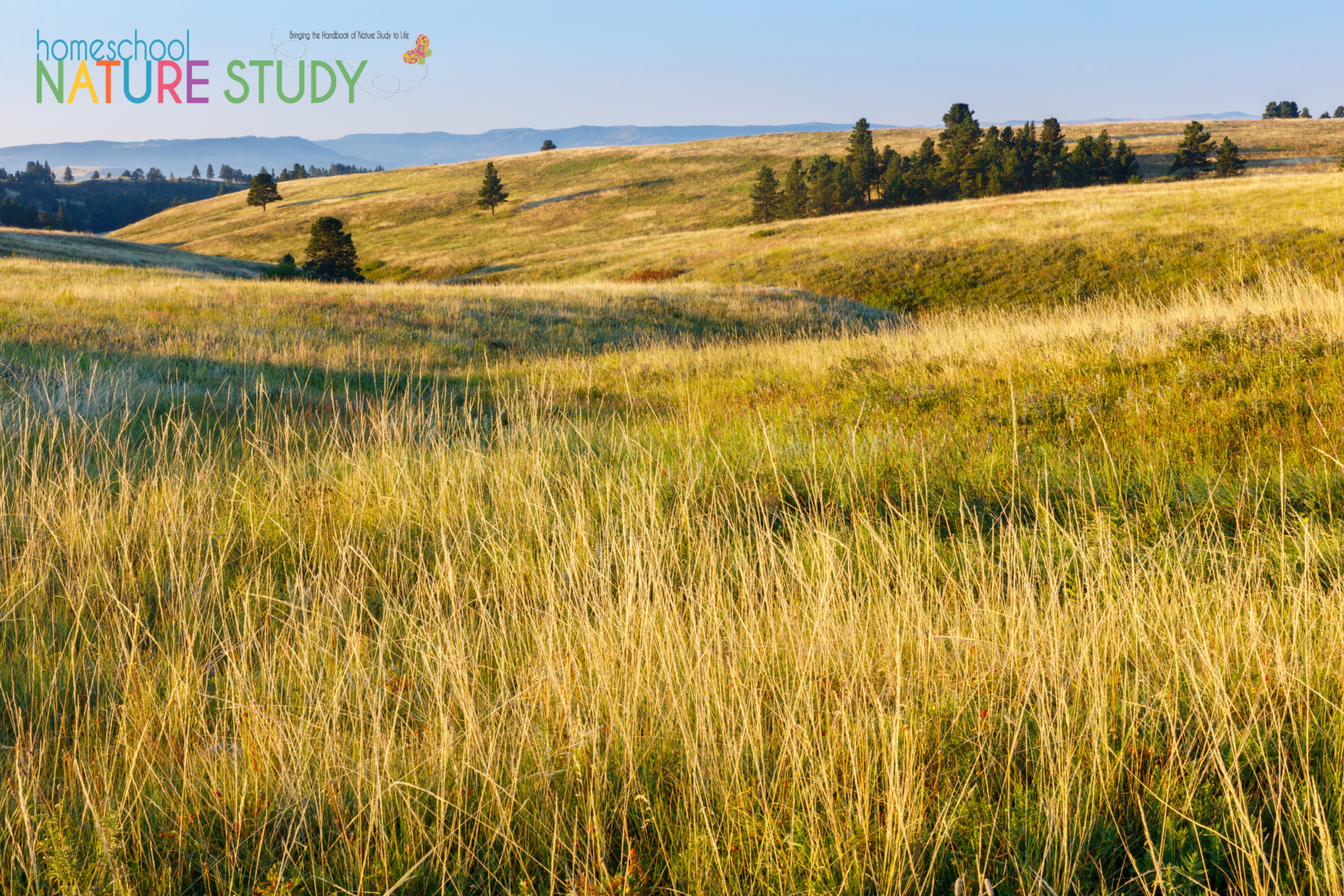 America's Prairies and Grasslands Resource for Your Nature Study ...