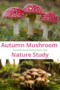 Mushroom Nature Study: Autumn Homeschooling Resources - Homeschool ...