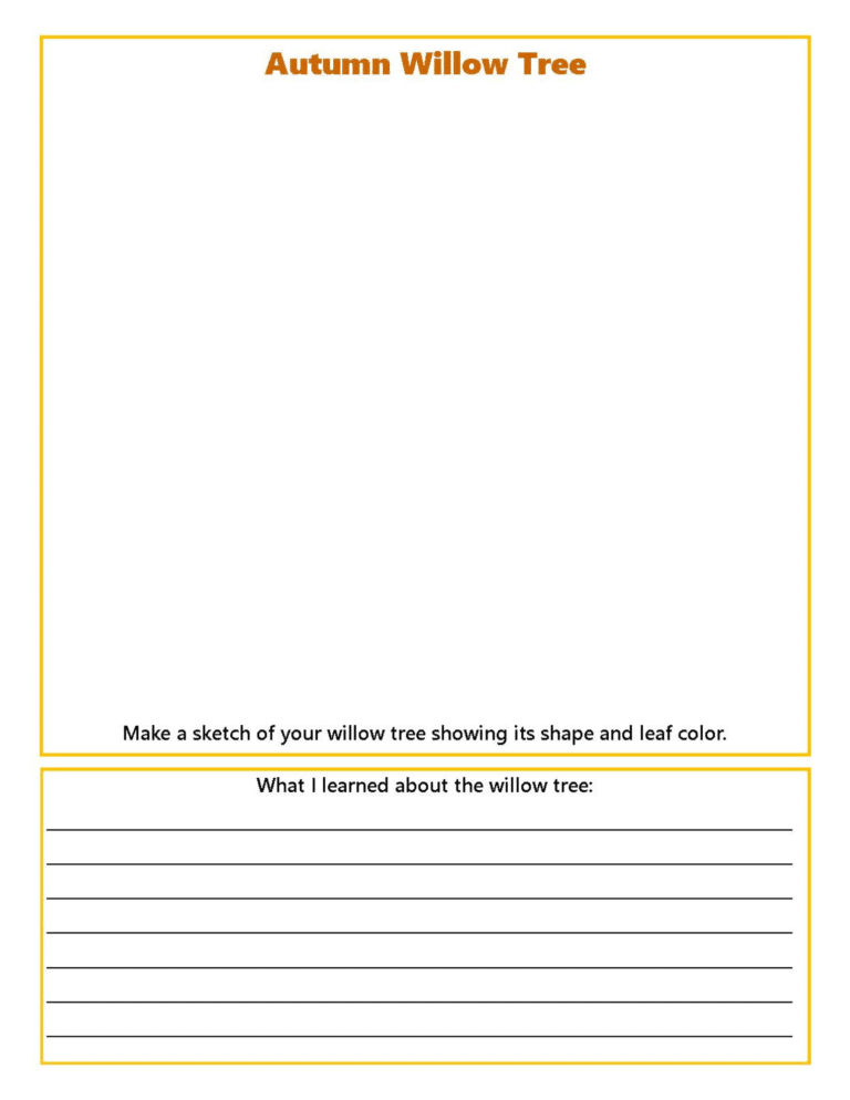 Autumn Willow Tree Nature Study and Printable - Homeschool Nature Study