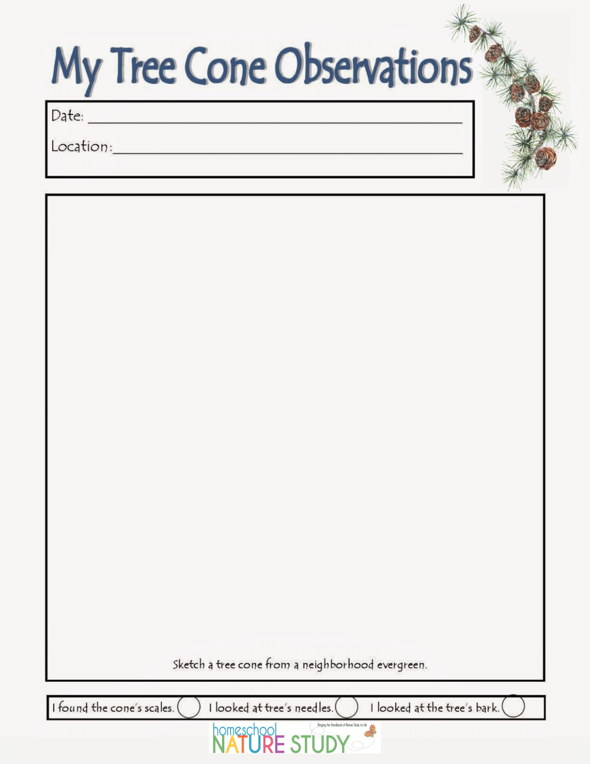 Winter Tree Nature Study: Ponderosa Pines - Homeschool Nature Study