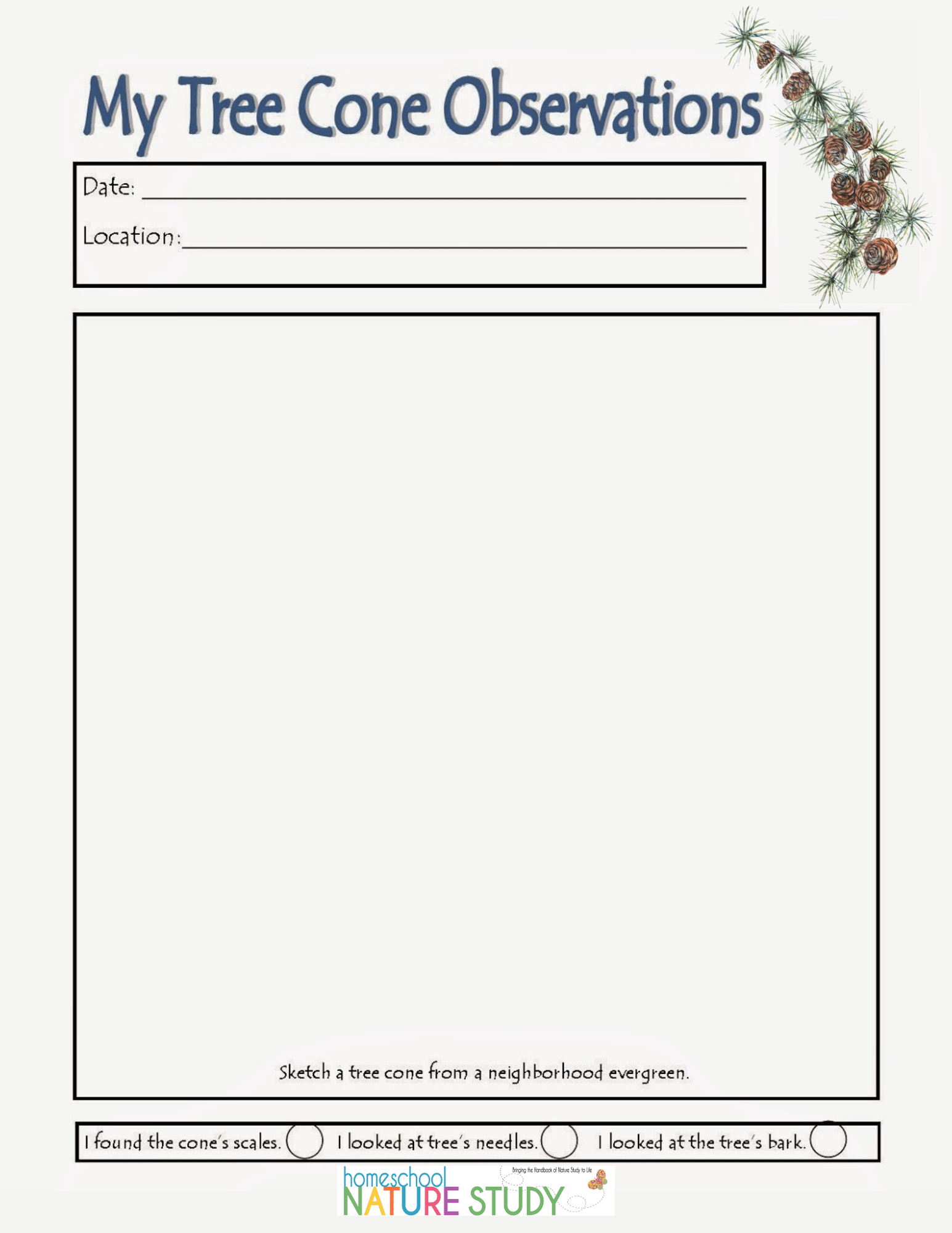 Winter Tree Nature Study: Ponderosa Pines - Homeschool Nature Study