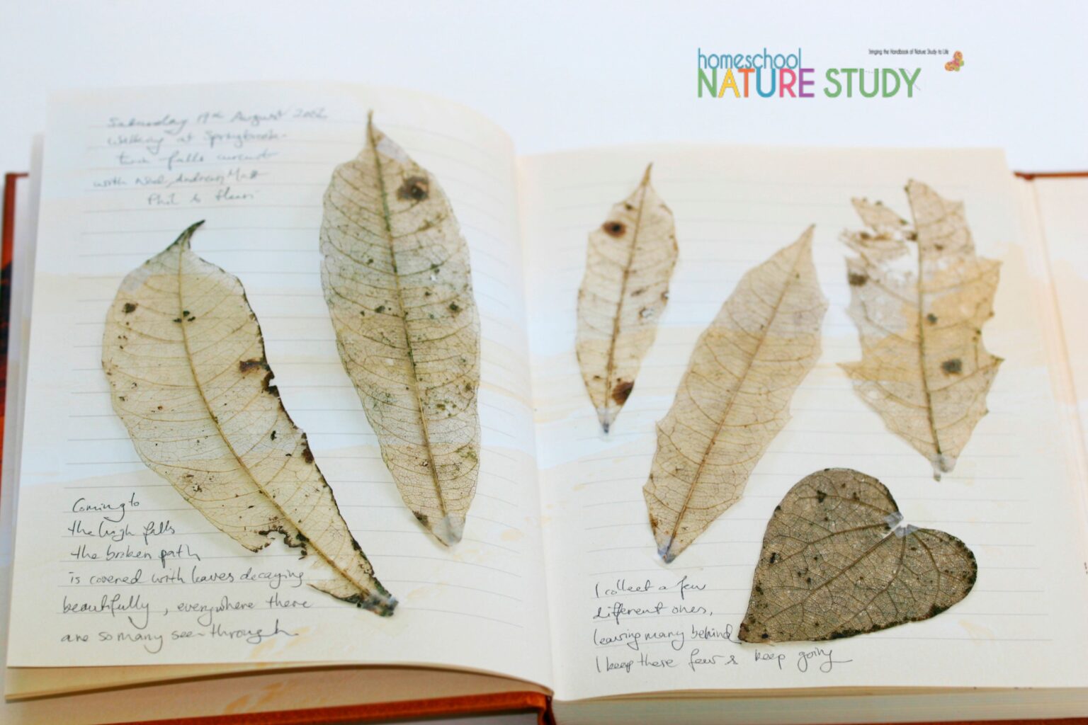 How to Make Leaf Rubbings for Your Homeschool Nature Study - Homeschool ...