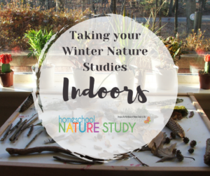 Taking Your Homeschool Winter Nature Study Indoors - Homeschool Nature ...