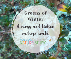 Greens of Winter, Moss and Lichen Homeschool Nature Walk - Homeschool ...