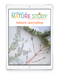 Monthly Nature Journal Activities For Your Homeschool - Homeschool ...