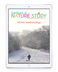 Simple Ways to Study Nature in Your Homeschool This Winter - Homeschool ...