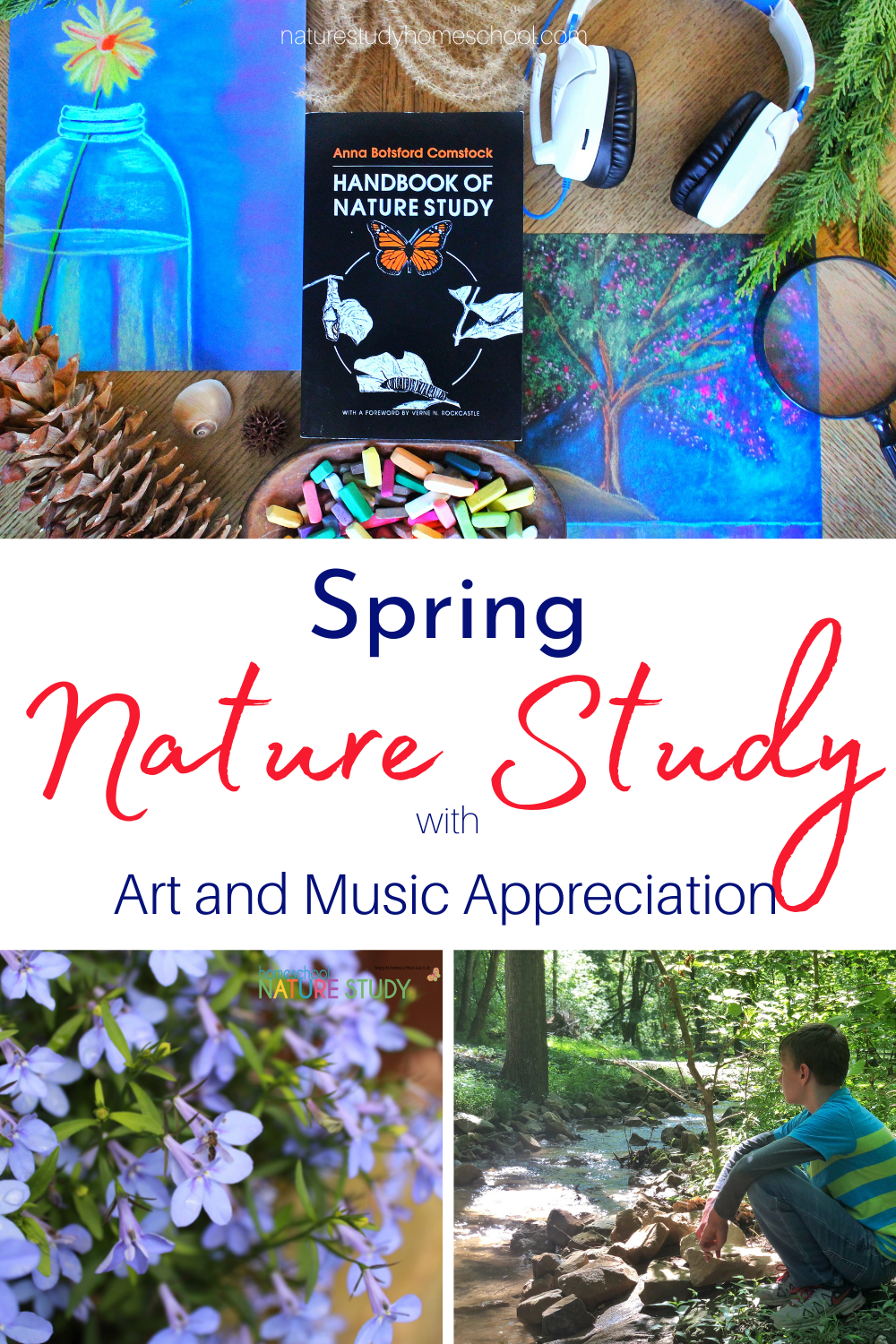 Spring Homeschool Nature Study Curriculum With Art and Music ...