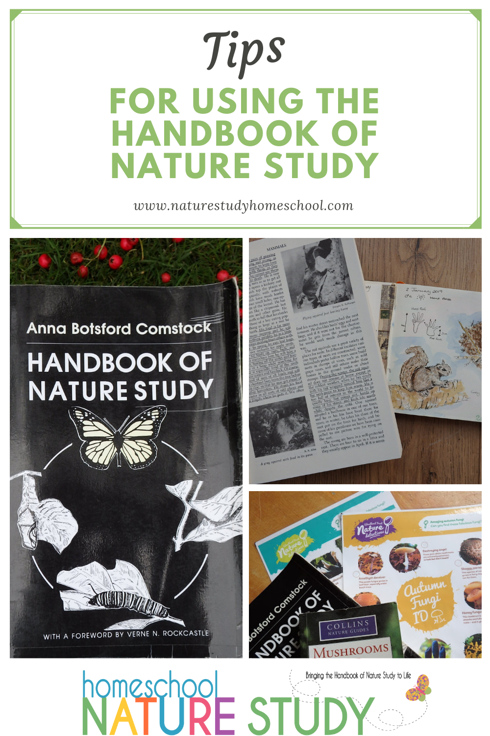 7 Top Tips For Using The Handbook Of Nature Study In Your Homeschool ...