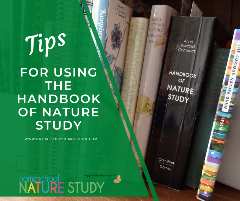 7 Top Tips For Using The Handbook Of Nature Study In Your Homeschool ...