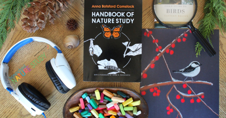 January Nature Studies Perfect for Winter Homeschooling - Homeschool ...