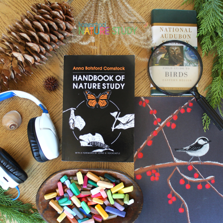 Taking Your Homeschool Winter Nature Study Indoors - Homeschool Nature ...