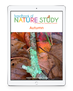 Autumn Nature Study Curriculum - Homeschool Nature Study