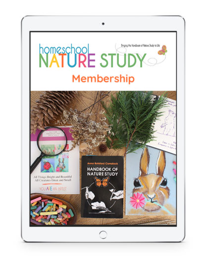 Outdoor Hour Challenge: Nature Study-Creating Habits Young - Homeschool ...