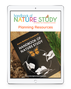 Planning for Nature Study in Your Homeschool - Homeschool Nature Study