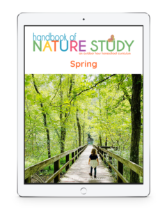 Guide to Spring Nature Study in Your Homeschool - Homeschool Nature Study