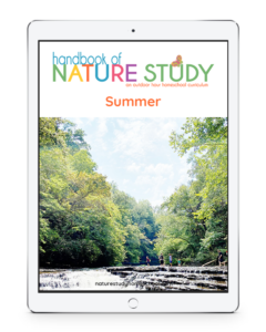 Homeschool Nature Study: Free Notebook Page For The Last Days of Summer ...