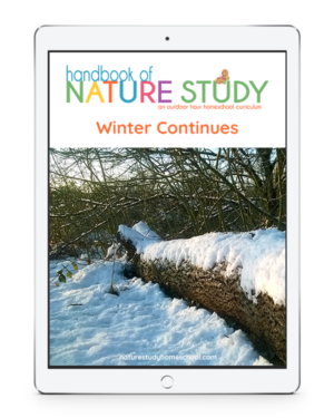 Simple Ways to Study Nature in Your Homeschool This Winter - Homeschool ...