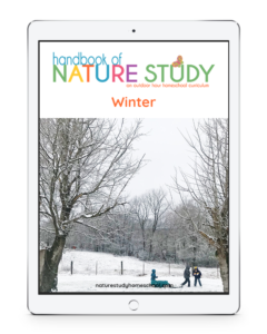 Simple Ways to Study Nature in Your Homeschool This Winter - Homeschool ...