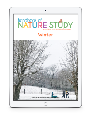 Simple Ways to Study Nature in Your Homeschool This Winter - Homeschool ...
