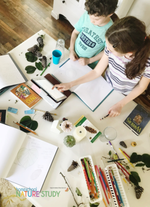 The Handbook of Nature Study Book - Homeschool Nature Study