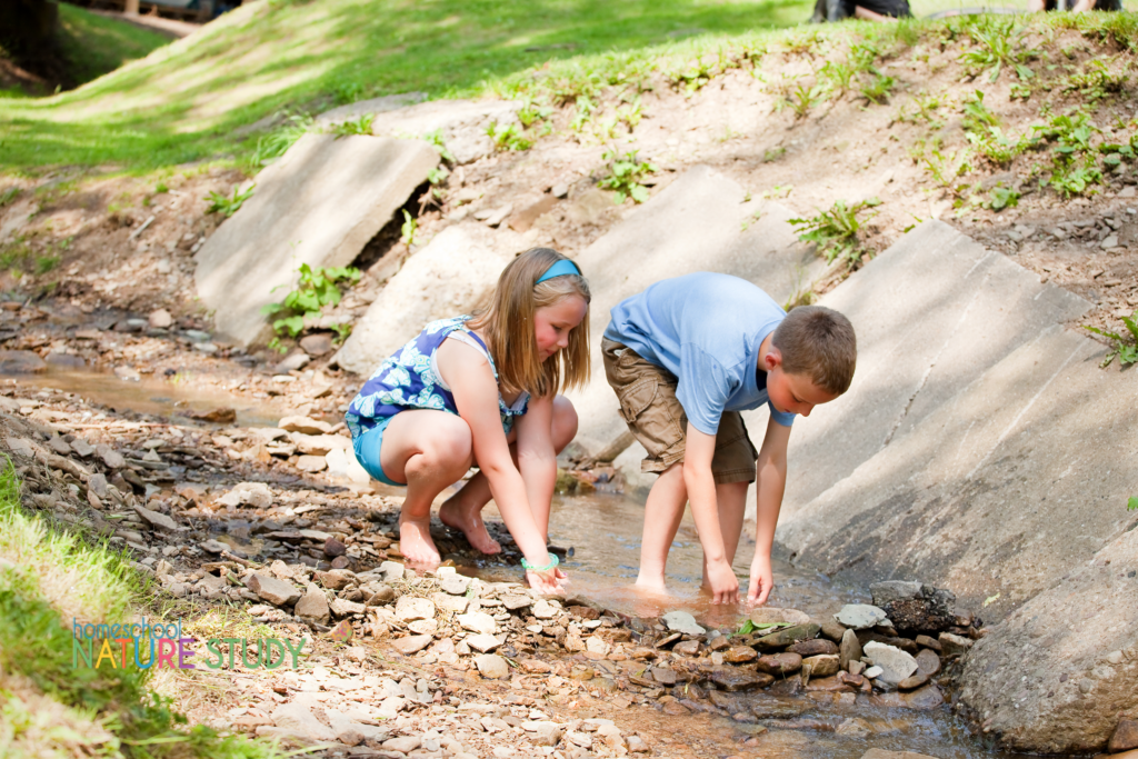 Charlotte Mason Nature Study For Your Homeschool - Homeschool Nature Study