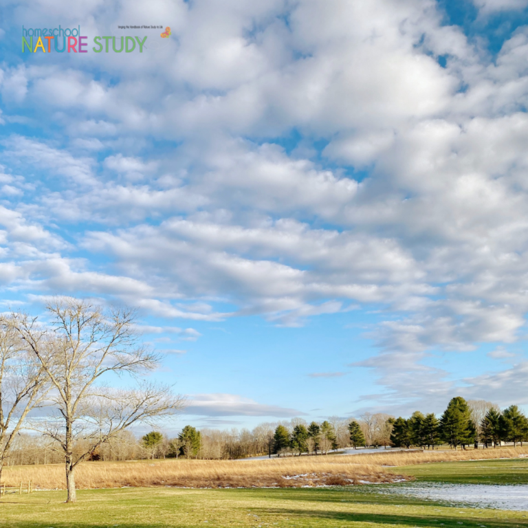 The Ultimate Guide To Nature Study Resources - Homeschool Nature Study