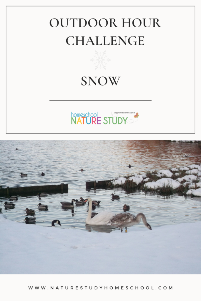 Snow Homeschool Nature Study Outdoor Hour Challenge - Homeschool Nature ...