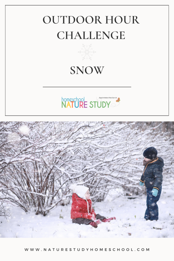 Homeschool Snow Study - Homeschool Nature Study