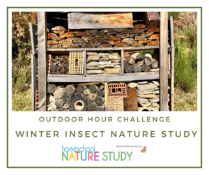 January Nature Studies Perfect for Winter Homeschooling - Homeschool ...