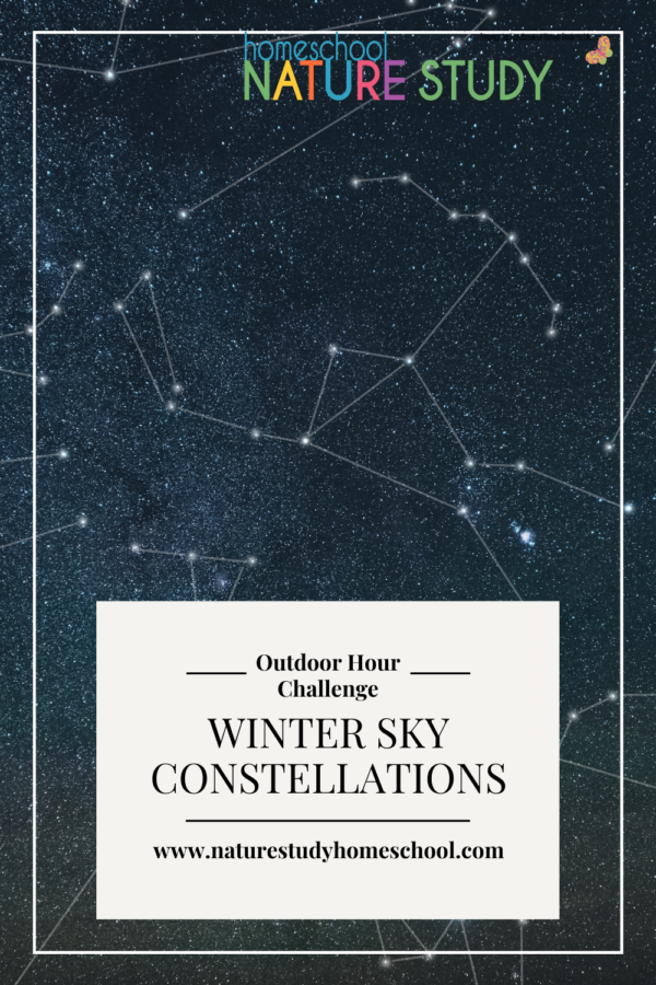 Homeschool Nature Study: Winter Sky Constellations - Homeschool Nature ...
