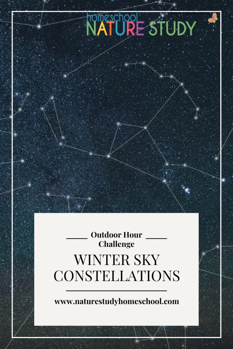 Homeschool Nature Study: Winter Sky Constellations - Homeschool Nature ...