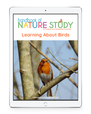 Fall Bird Study For Your Homeschool - Homeschool Nature Study
