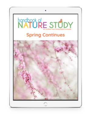 Beautiful Easter Nature Studies For Kids - Homeschool Nature Study
