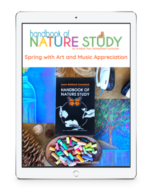 7 April Nature Activities Great for Enjoying the Outdoors - Homeschool ...