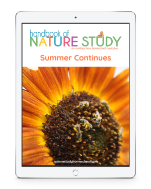 The Ultimate List of Garden and Wildflowers Homeschool Nature Study ...
