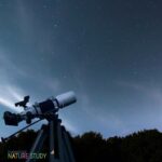 Homeschool Learning Styles with Astronomy: Nature Study at Night ...