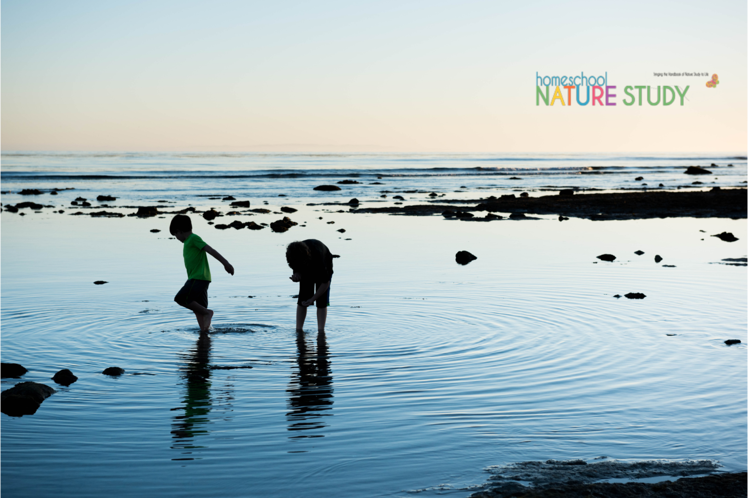Homeschool Ocean Nature Study and Marine Biology Resources - Homeschool ...
