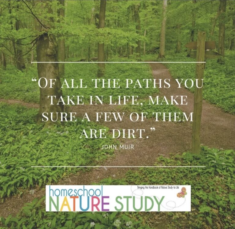 First Day of Spring: Simple Ways to Study Nature in Your Homeschool ...