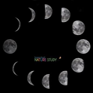 Spectacular Night Sky Nature Study Ideas for Your Homeschool ...