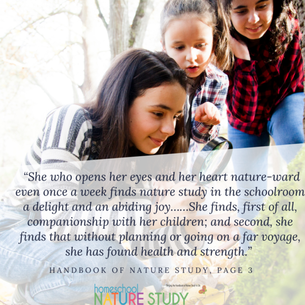 How to Build a Habit of Nature Study in Your Homeschool - Homeschool ...