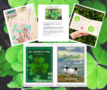Clover or Shamrock Homeschool Nature Study - Homeschool Nature Study