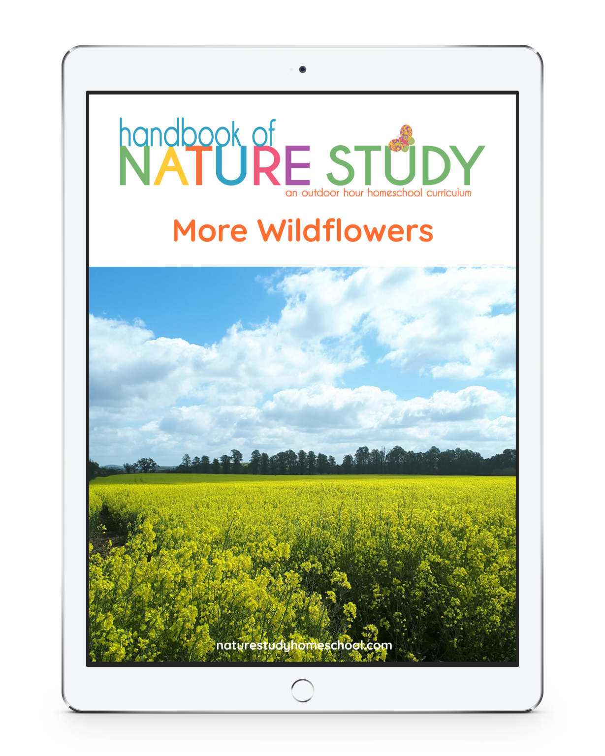 Charlotte Mason Nature Study: Simple Ideas for Wildflowers - Homeschool ...