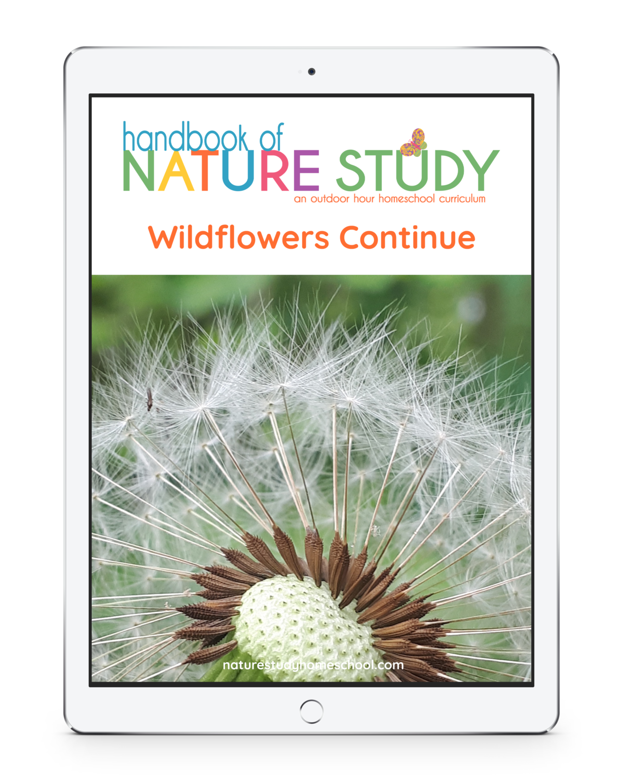 Charlotte Mason Nature Study: Simple Ideas for Wildflowers - Homeschool ...