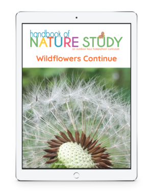 The Ultimate List of Garden and Wildflowers Homeschool Nature Study ...