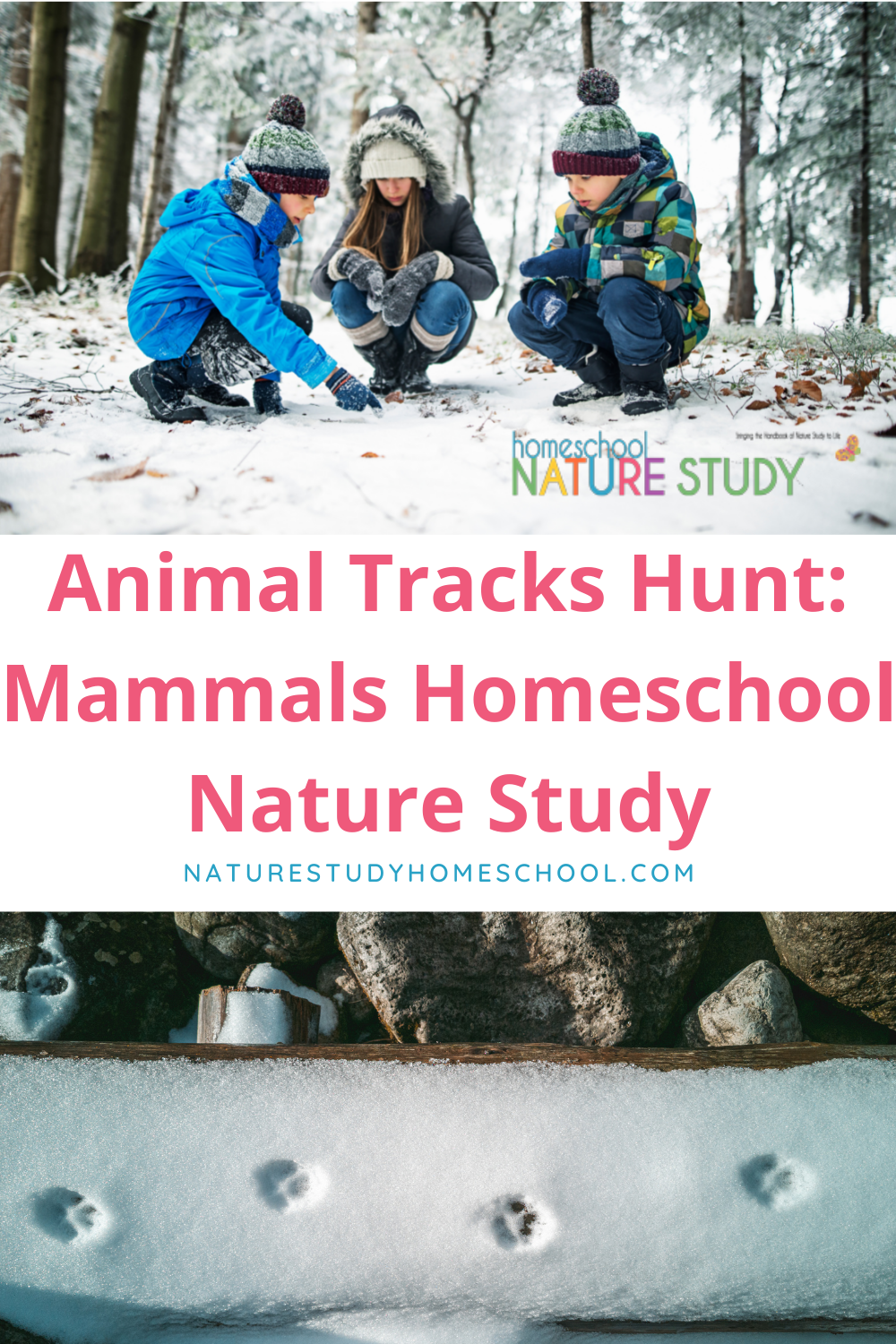 Animal Tracks Nature Hunt: Mammals Homeschool Study - Homeschool Nature ...