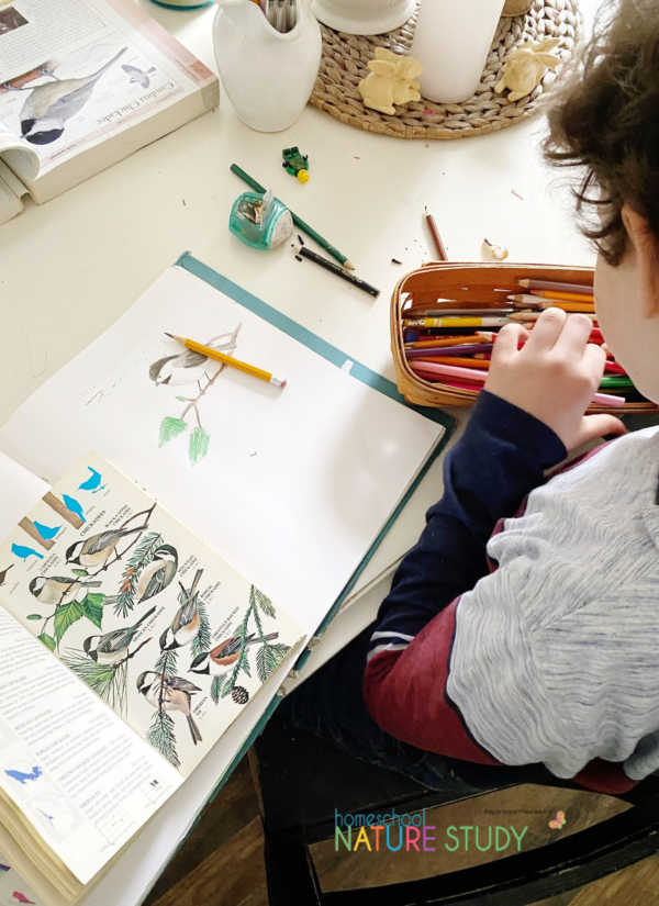 The Ultimate Guide To Nature Journaling: Tips For Writing About Nature ...