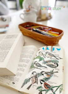 The Laws Guide to Nature Drawing and Journaling for Your Homeschool ...