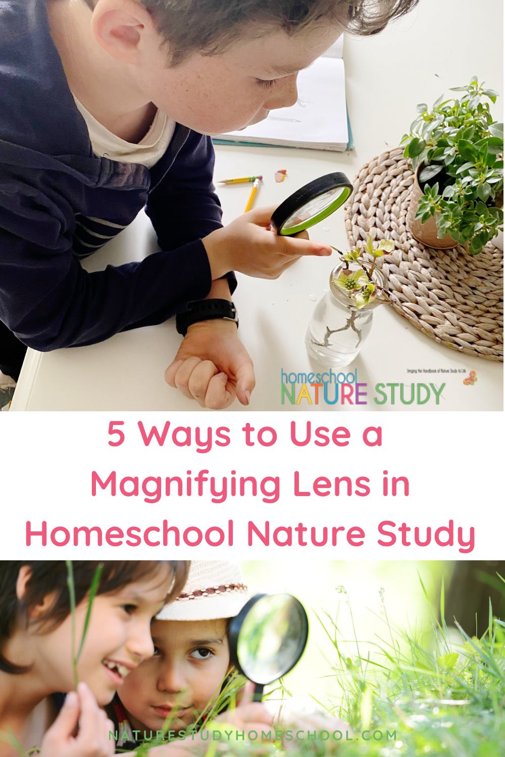 5 Ways to Use Your Magnifying Lens in Homeschool Nature Study ...