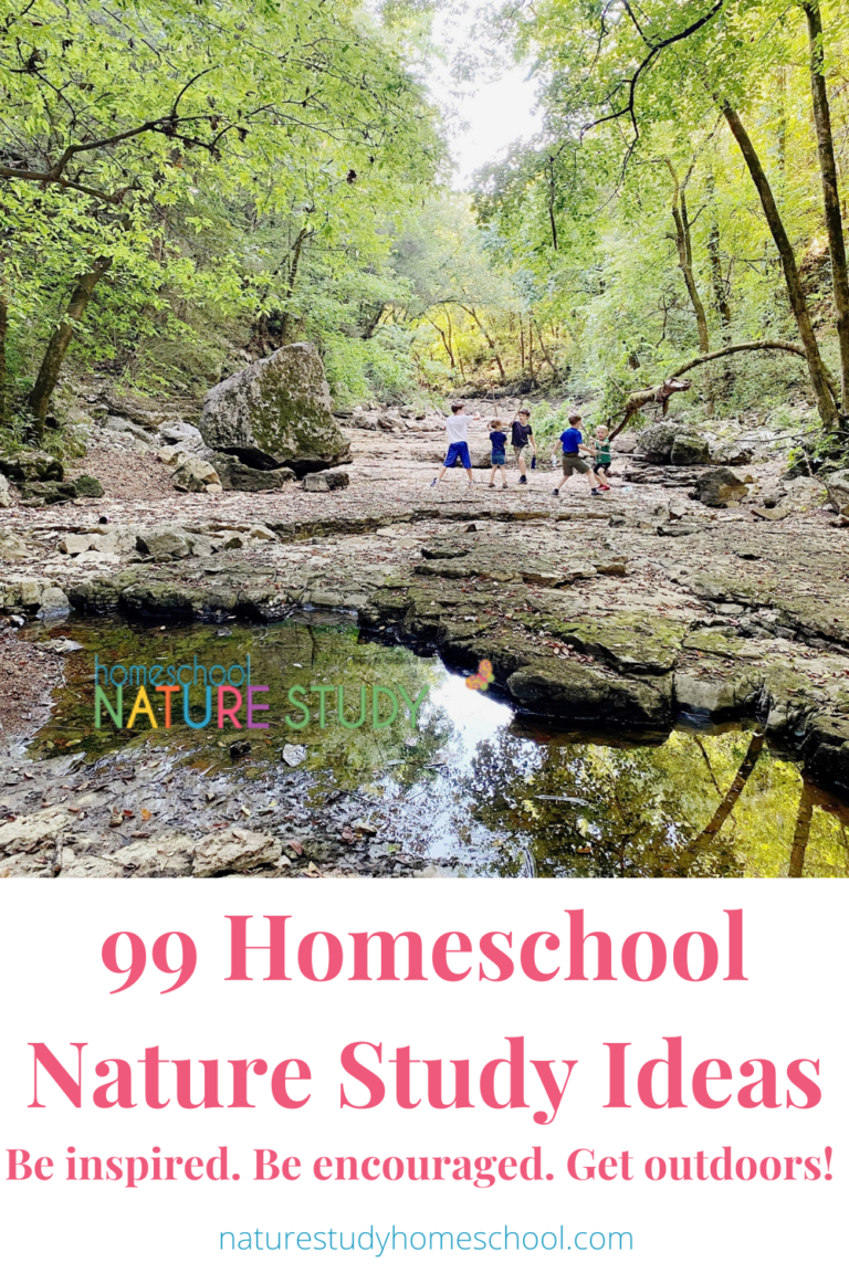 99 Homeschool Nature Study Ideas To Get Your Family Outdoors ...